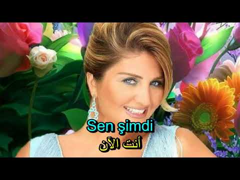سيبل جان - أحب نيابة عني (أغنية تركية مترجمة) Sibel Can - Benim Yerime De Sev