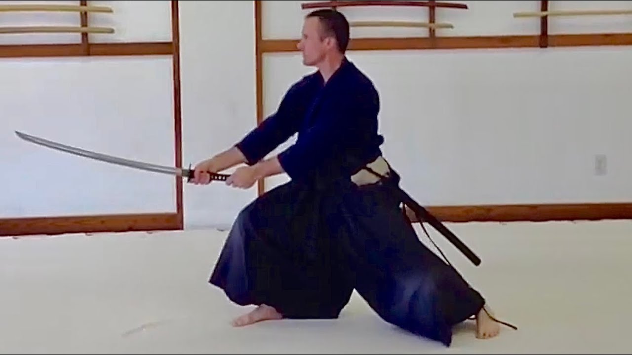 QUICK Sword Demonstration by Paul Frank Sensei Iaijutsu Katori Shinto ...
