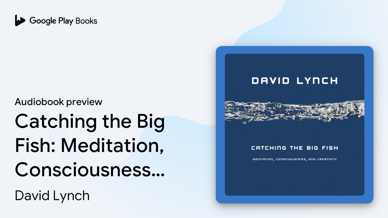 Catching the Big Fish: Meditation,… by David Lynch · Audiobook preview ...
