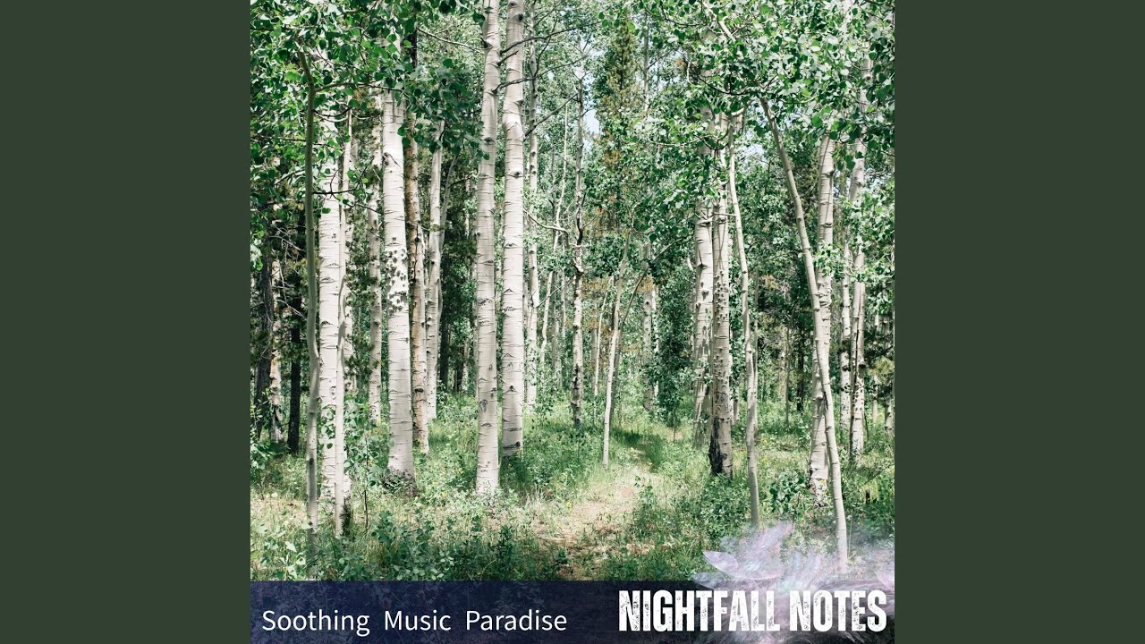 Soothing Path to Stillness - YouTube