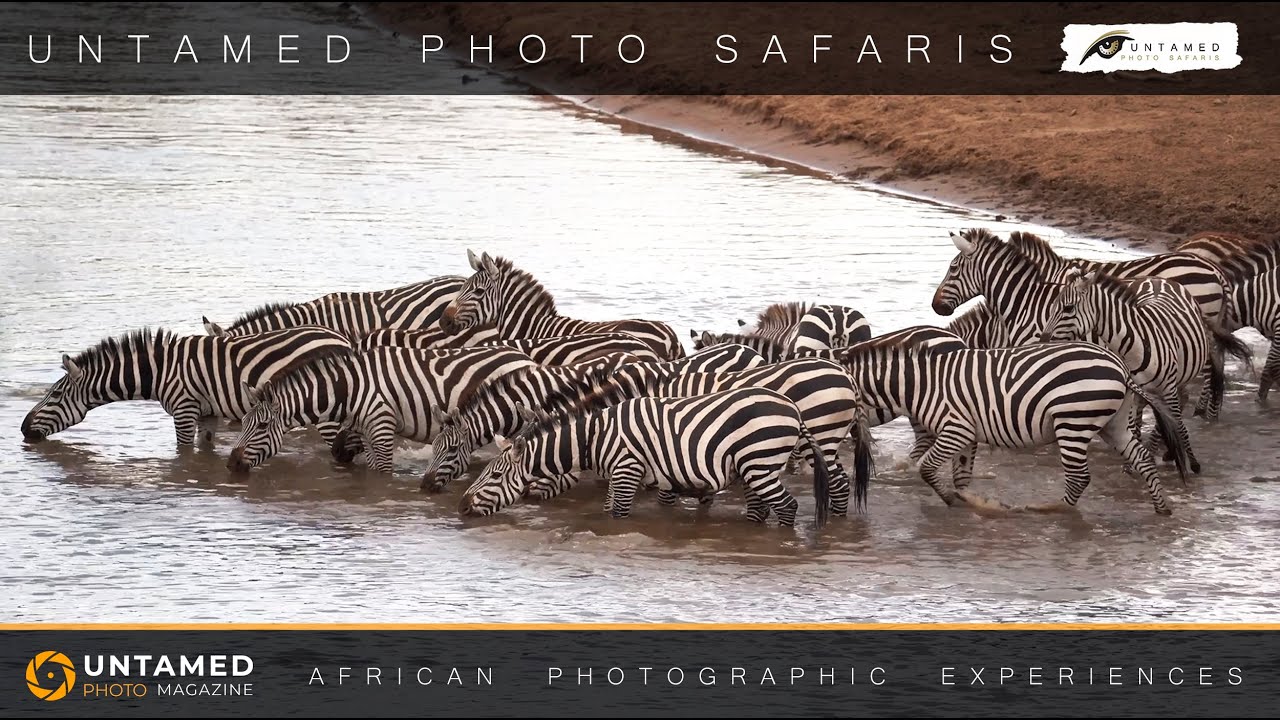 Great Migration Photo Safari, Masai Mara 2023 - YouTube
