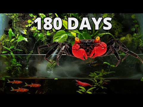 I Built a Rainforest Ecosystem. 180 Days Later THIS Happened!