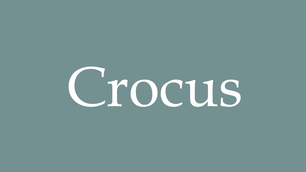 How to Pronounce ''Crocus'' Correctly in French - YouTube