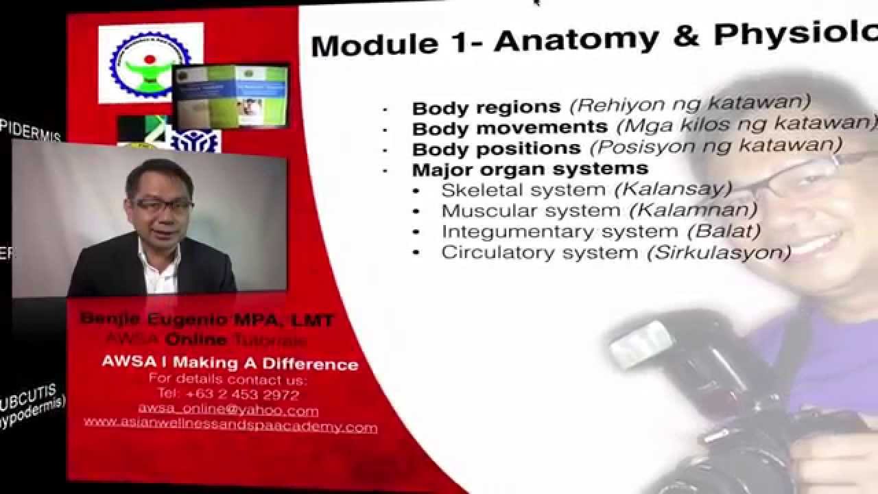 Module 1 - Anatomy & - Physiology- A Walkthrough (Filipino Version Only ...