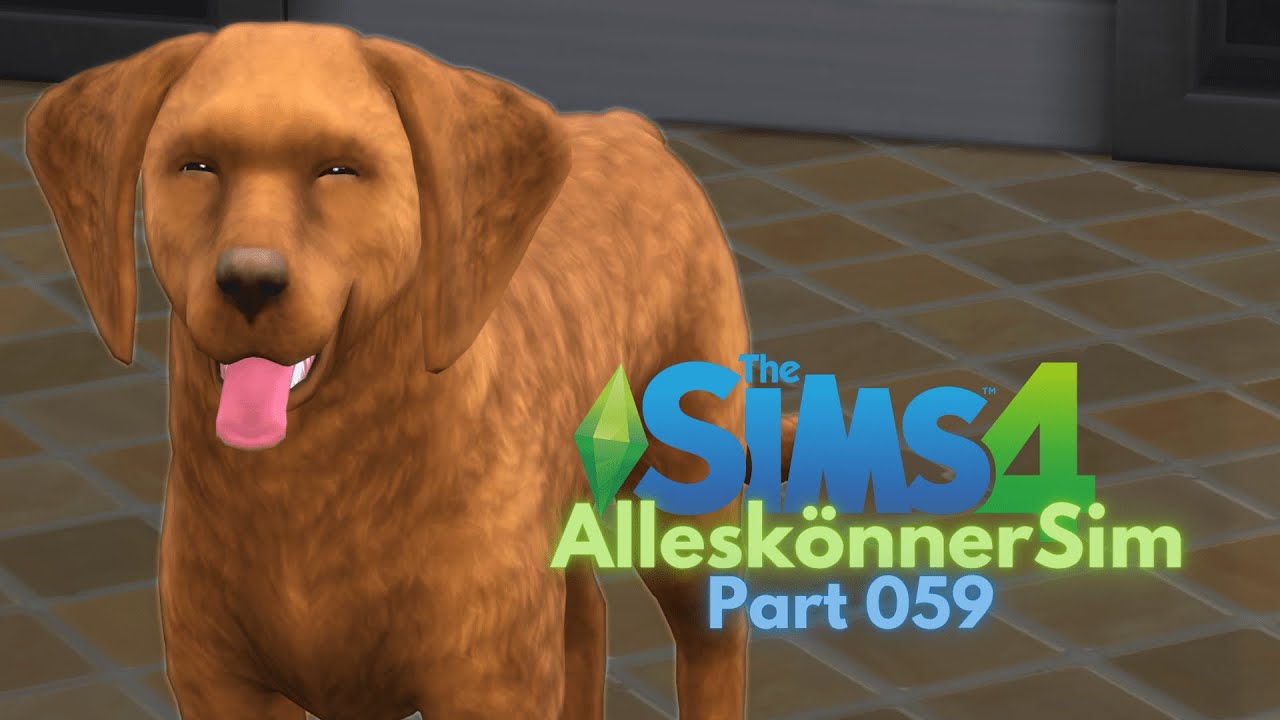 Die Sims 4 • Alleskönner Sim • Folge 059 - YouTube