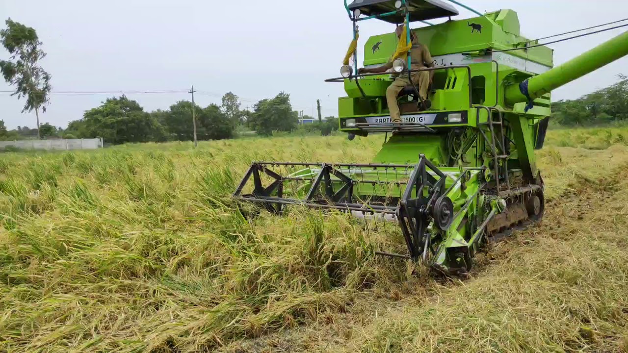 paddy cutting machine - YouTube