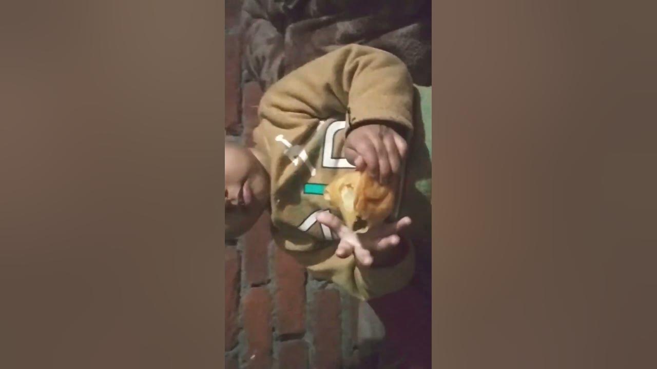 ####First. .Time baby Somossa eating #I am very happy 😊😊😊😊😊 - YouTube