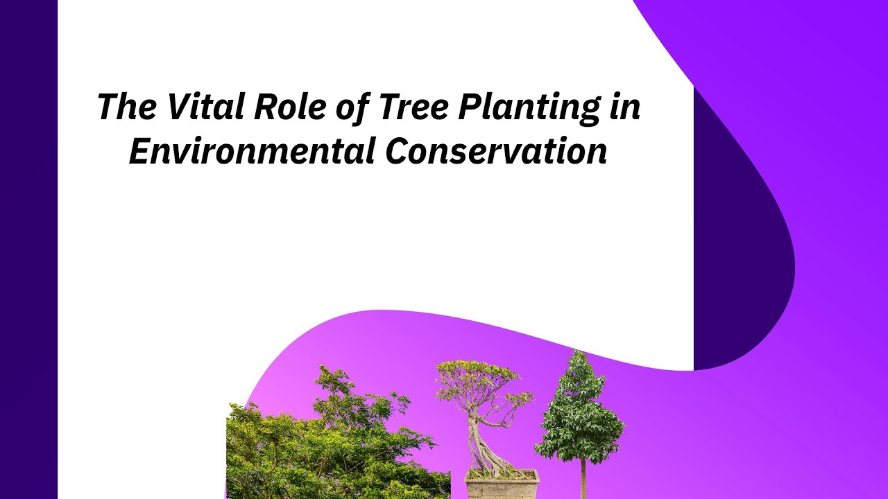 The Vital Role of Tree Planting in Environmental Conservation - YouTube