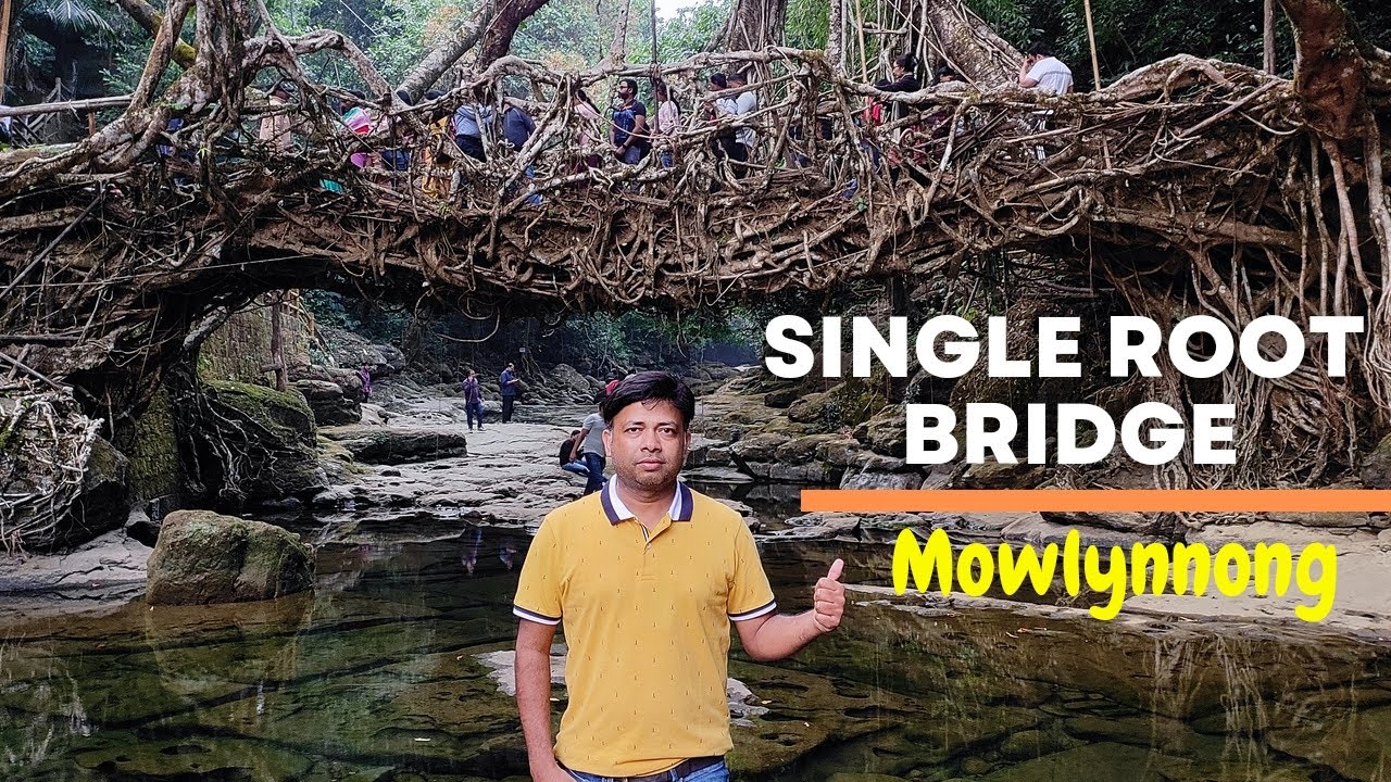 single root bridge meghalaya | mawlynnong#livingrootbridge - YouTube