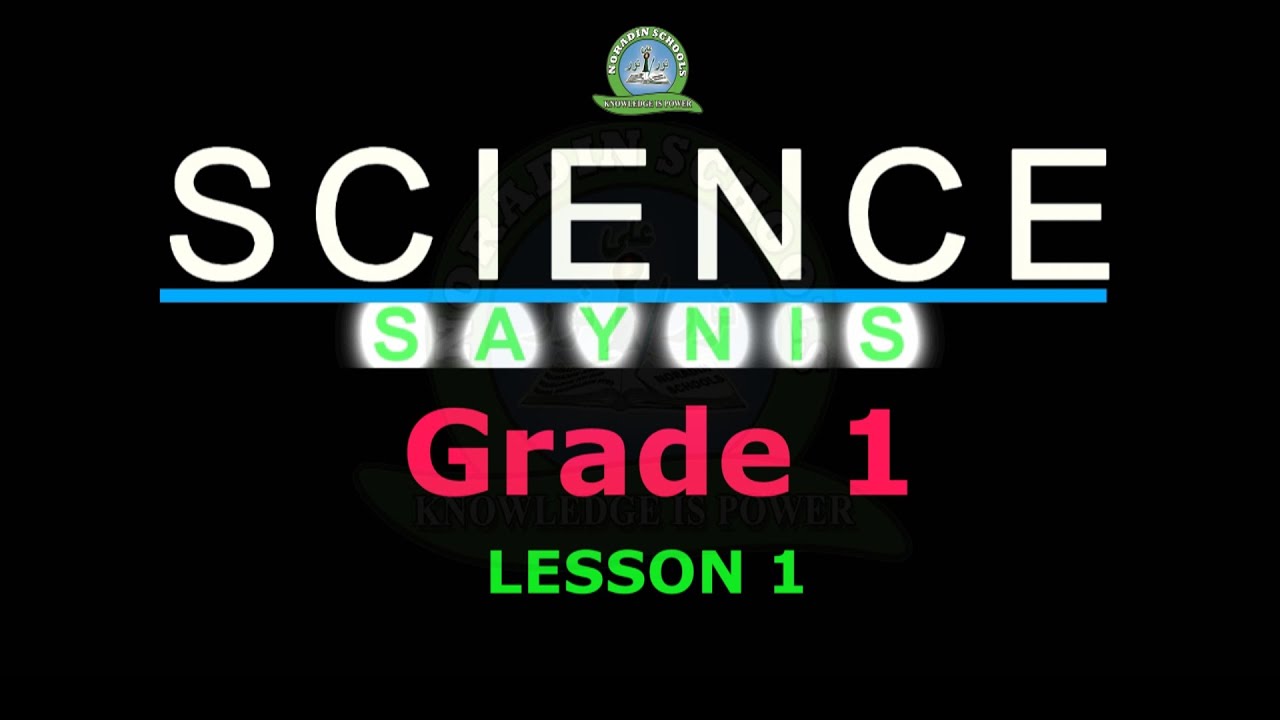 NORADIN GRADE 1 - SCIENCE - LESSON: 1 - YouTube