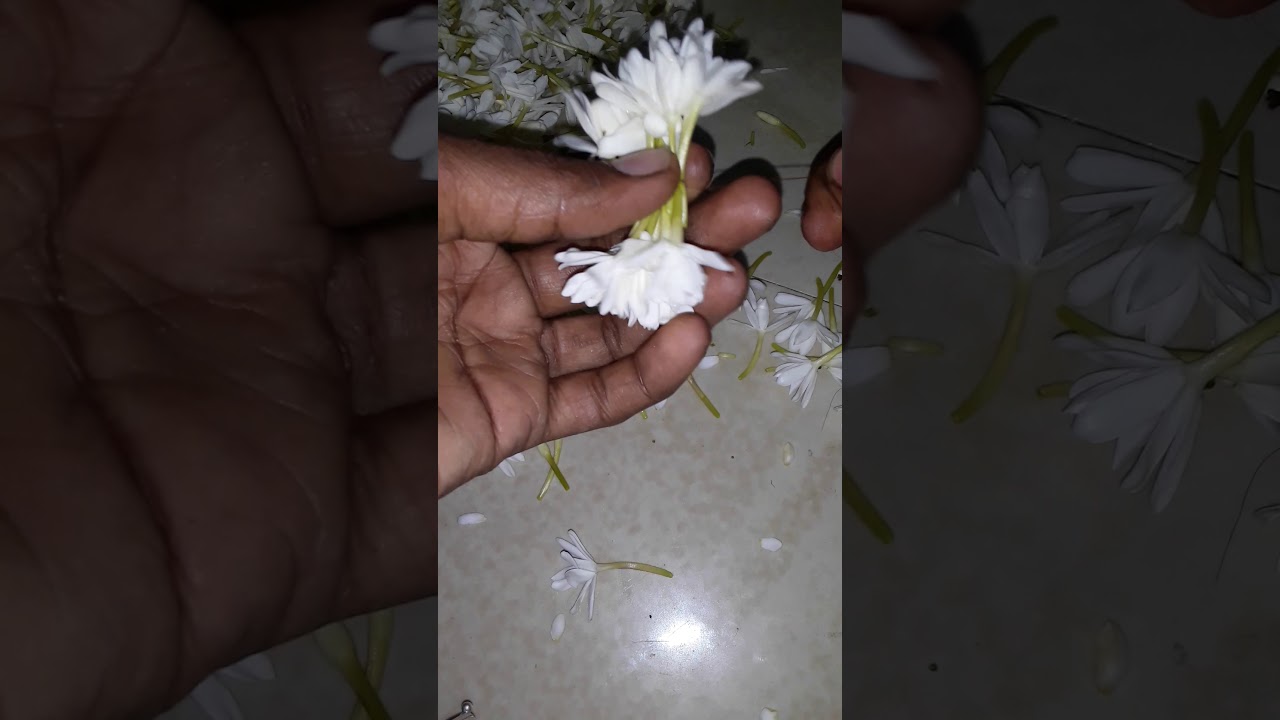 How to string virajaji pulu katadam - YouTube