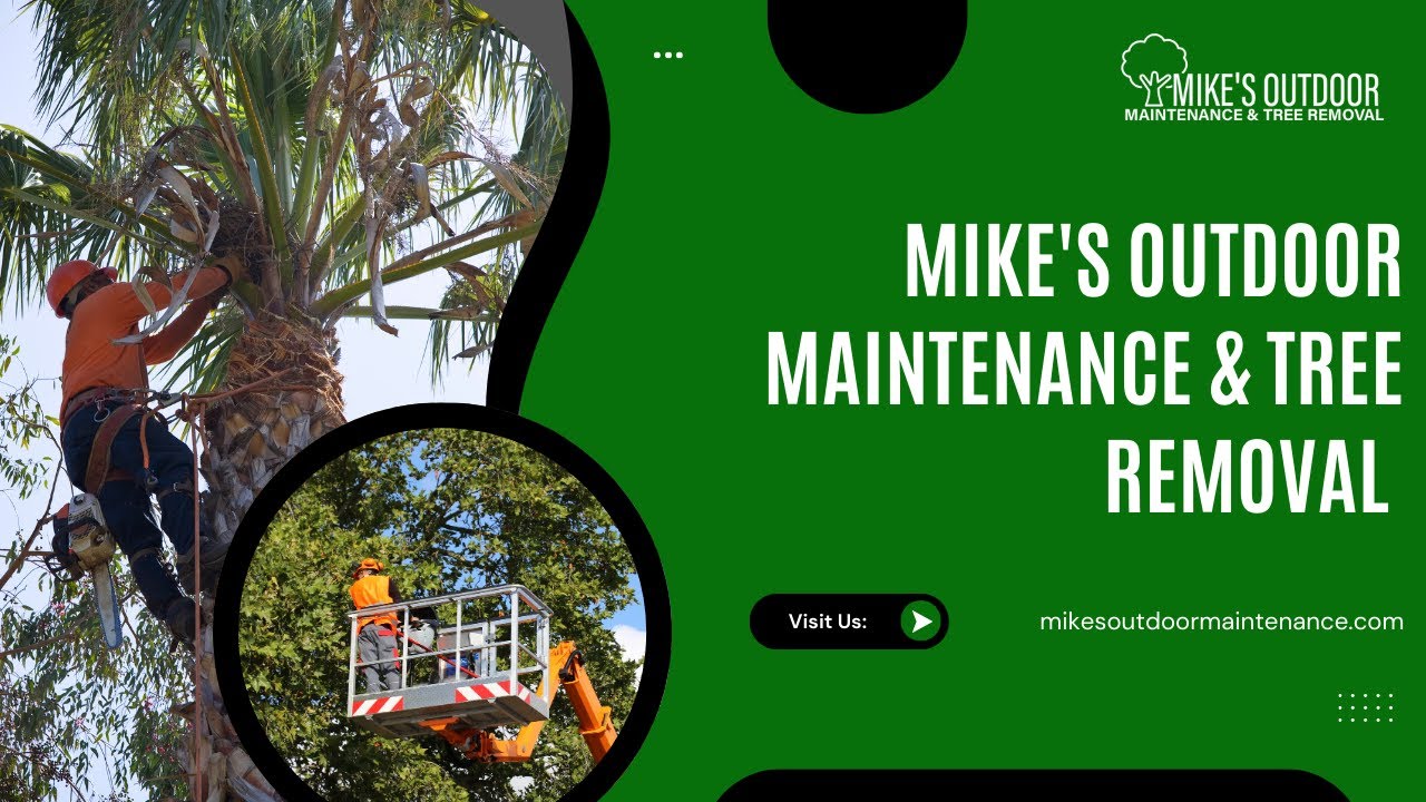 Mike's Outdoor Maintenance & Tree Removal - Tree Service Monticello, NY ...
