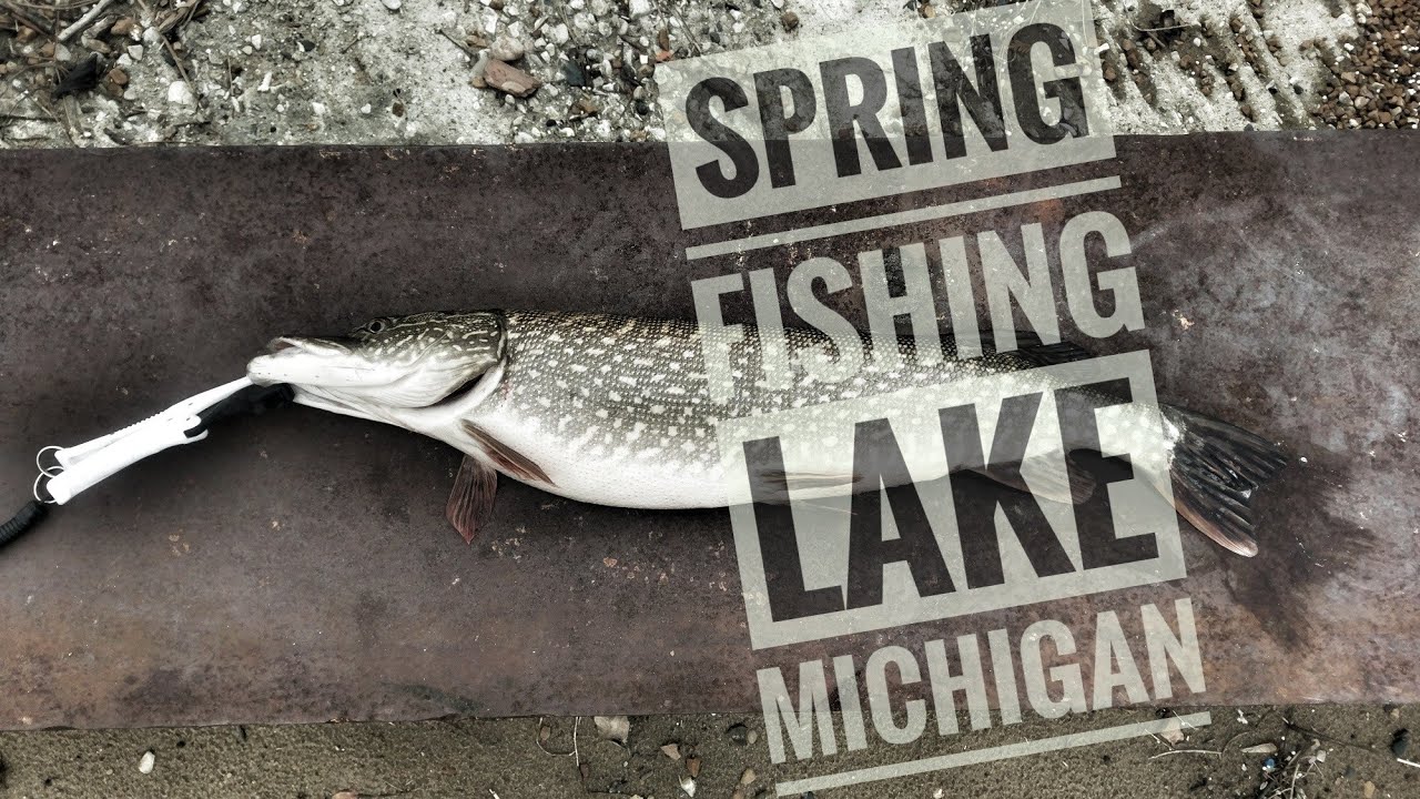 Fishing for Spring Lake Michigan coho and lake trout part 1 - YouTube