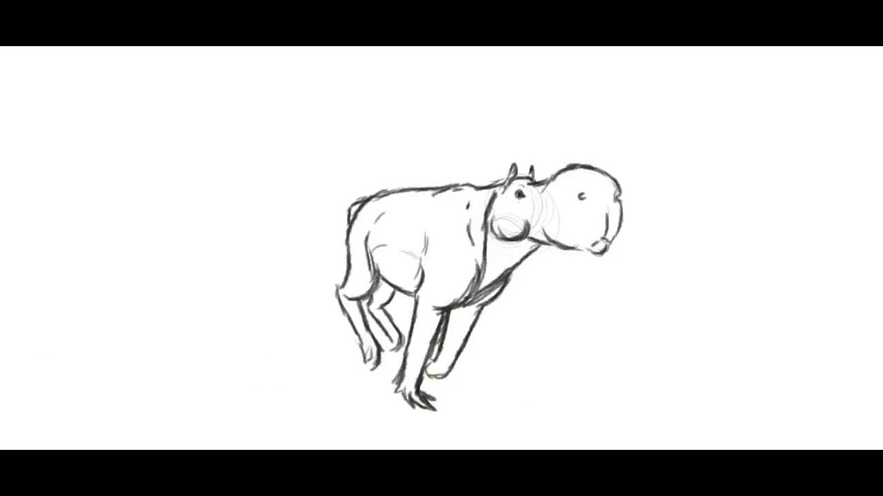 creature run cycle animation - YouTube