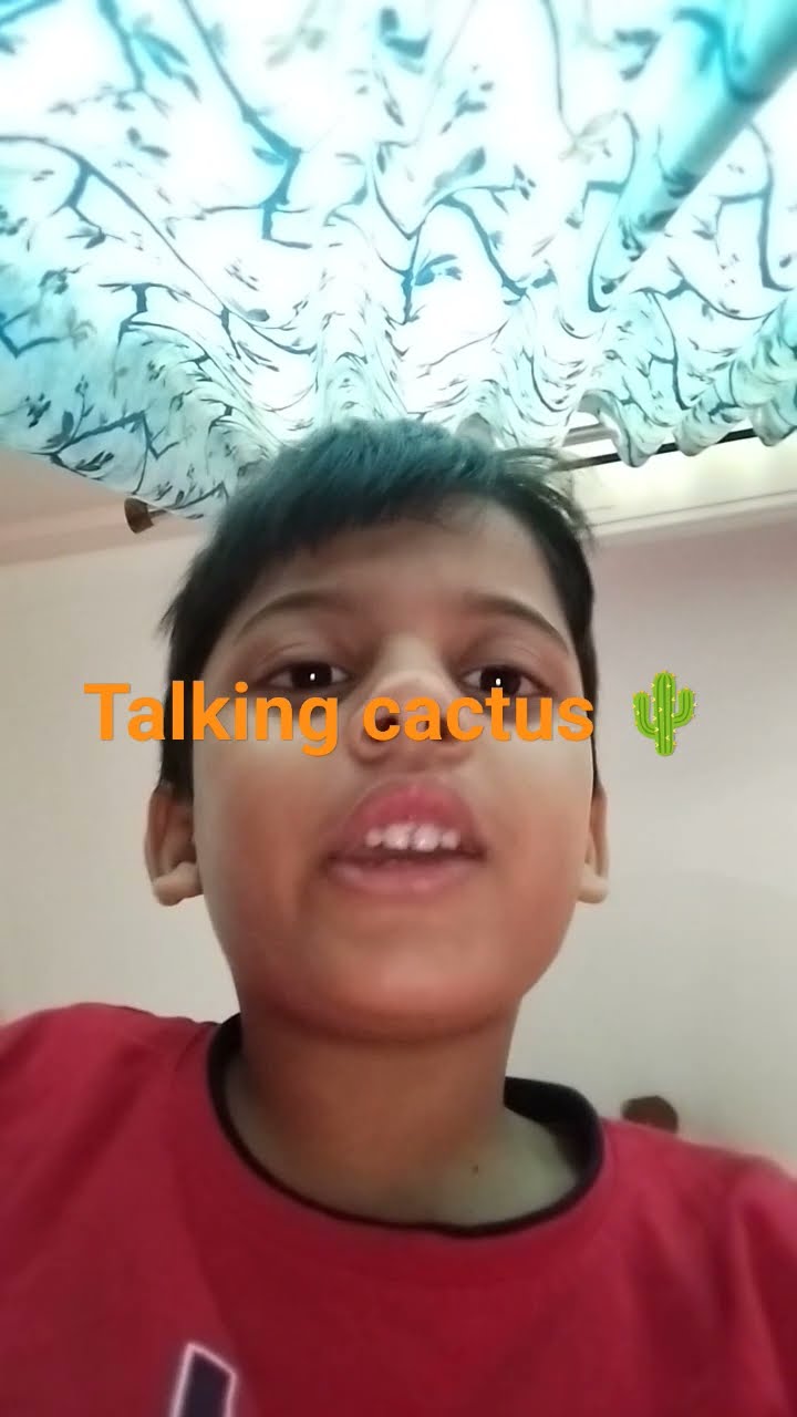 talking cactus 🌵 - YouTube