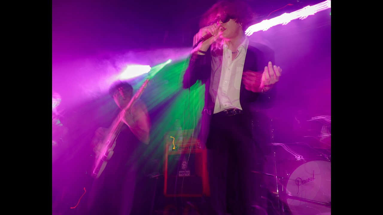 THE FOOLZ – Live & Interview at Verona Digital Music Festival 2023 ...