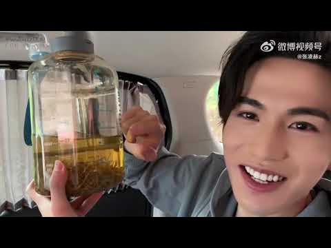 [ENG SUB] 220514 Zhang Linghe's Tiger x Crane Wrap Up Day Vlog - YouTube