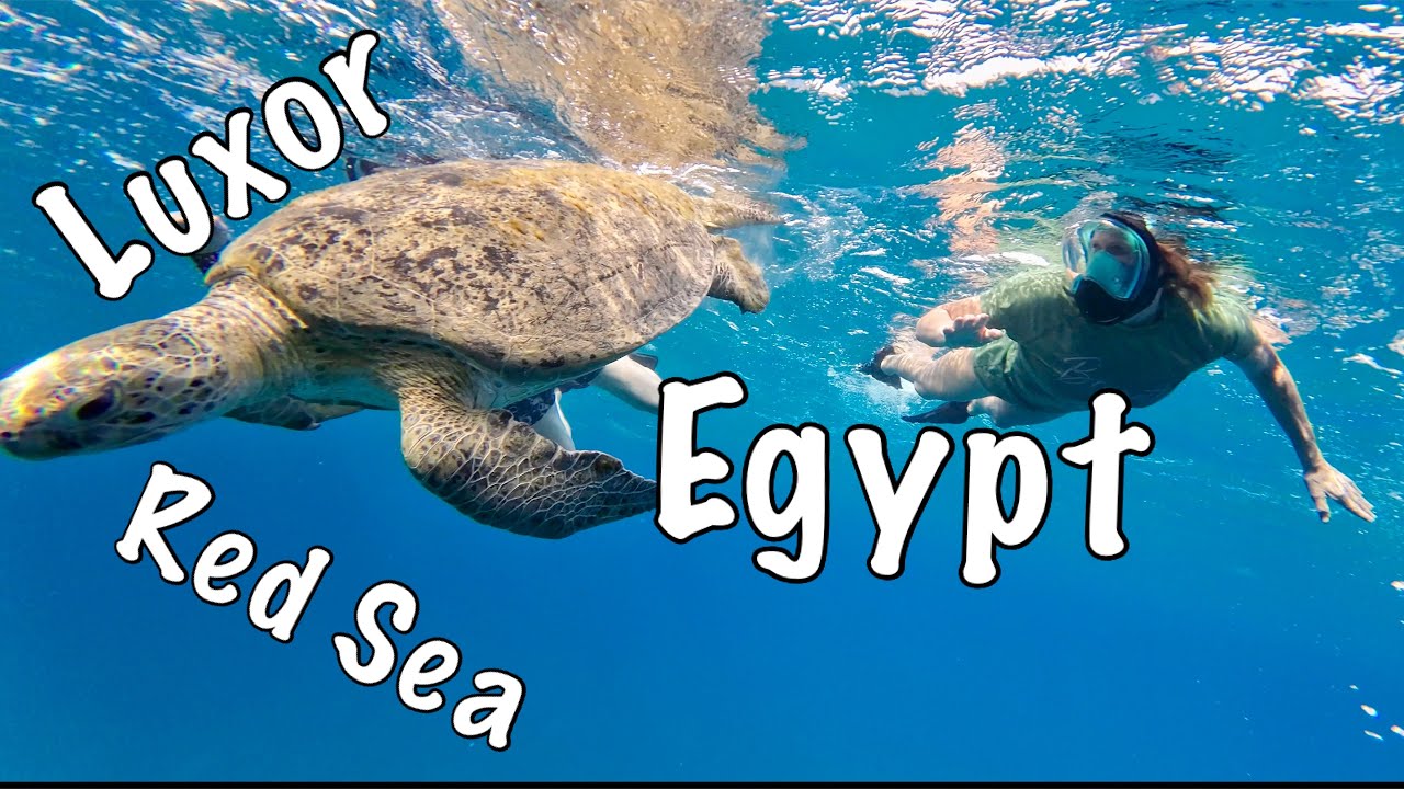🇪🇬 Egypt - Febr 2025 | Marsa Alam | Red sea | Luxor - YouTube