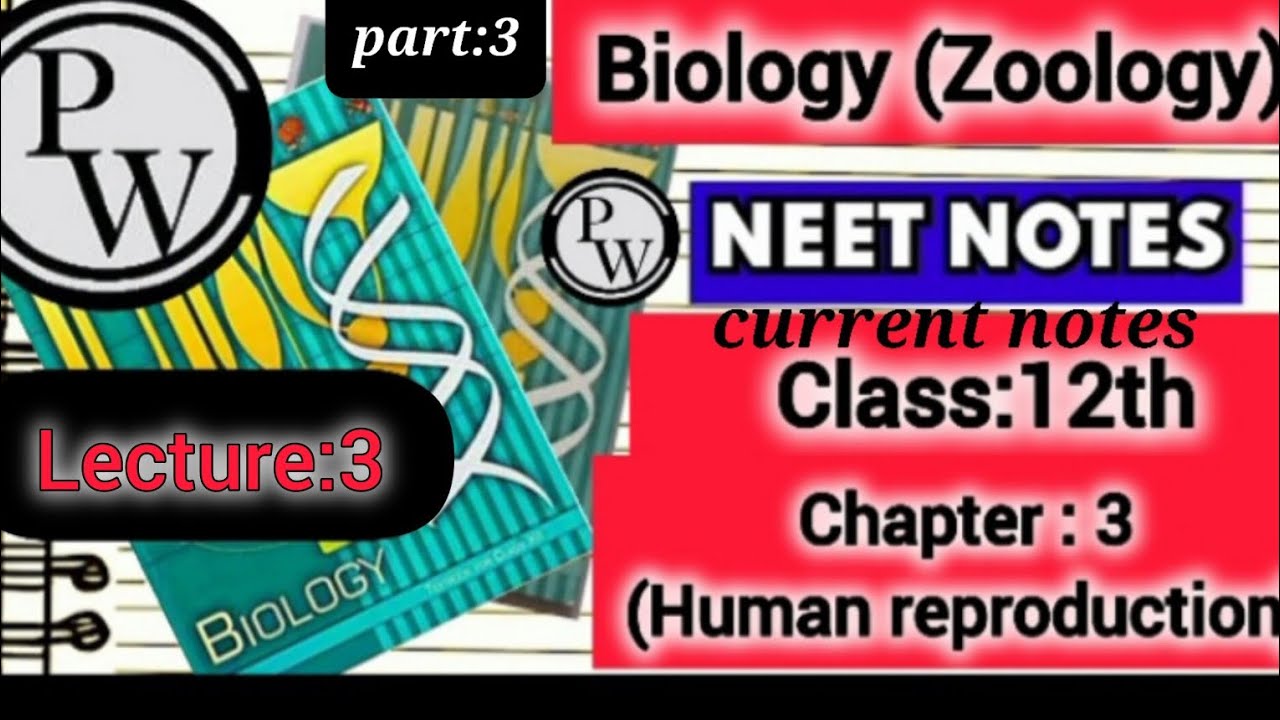 Class :-12 Biology PW Class Notes 📝Zoology Chapter:-3(Human ...