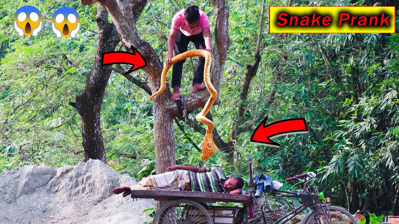 SNAKE PRANK COMPILATION 2022 - Best Funny Videos | #snakeprank by ...