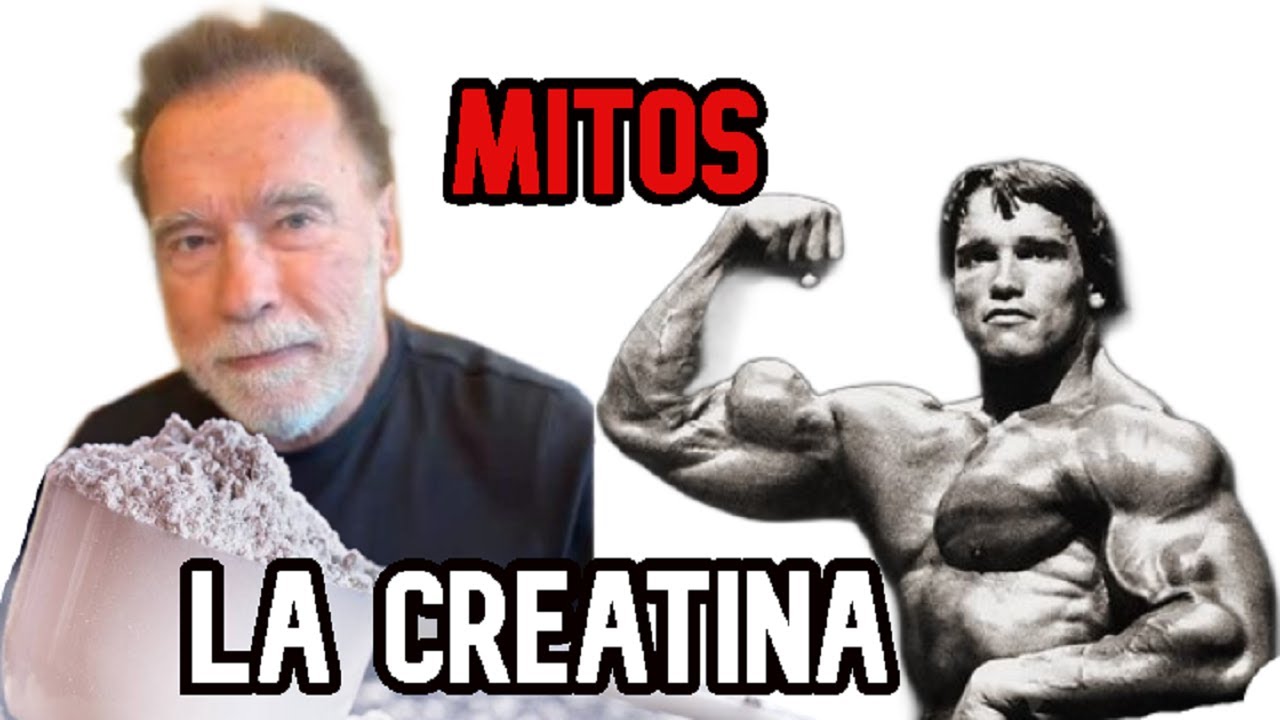 ARNOLD SCHWARZENEGGER ANALIZA LA CREATINA - YouTube