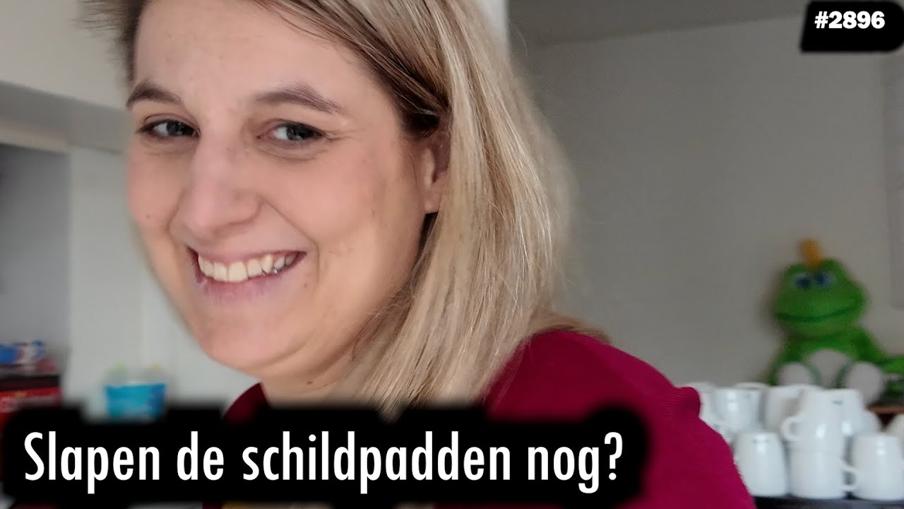 SCHILDPADDEN WINTERSLAAP CHECK UP | JOLIEN EN JENNO VLOG 2896 - YouTube