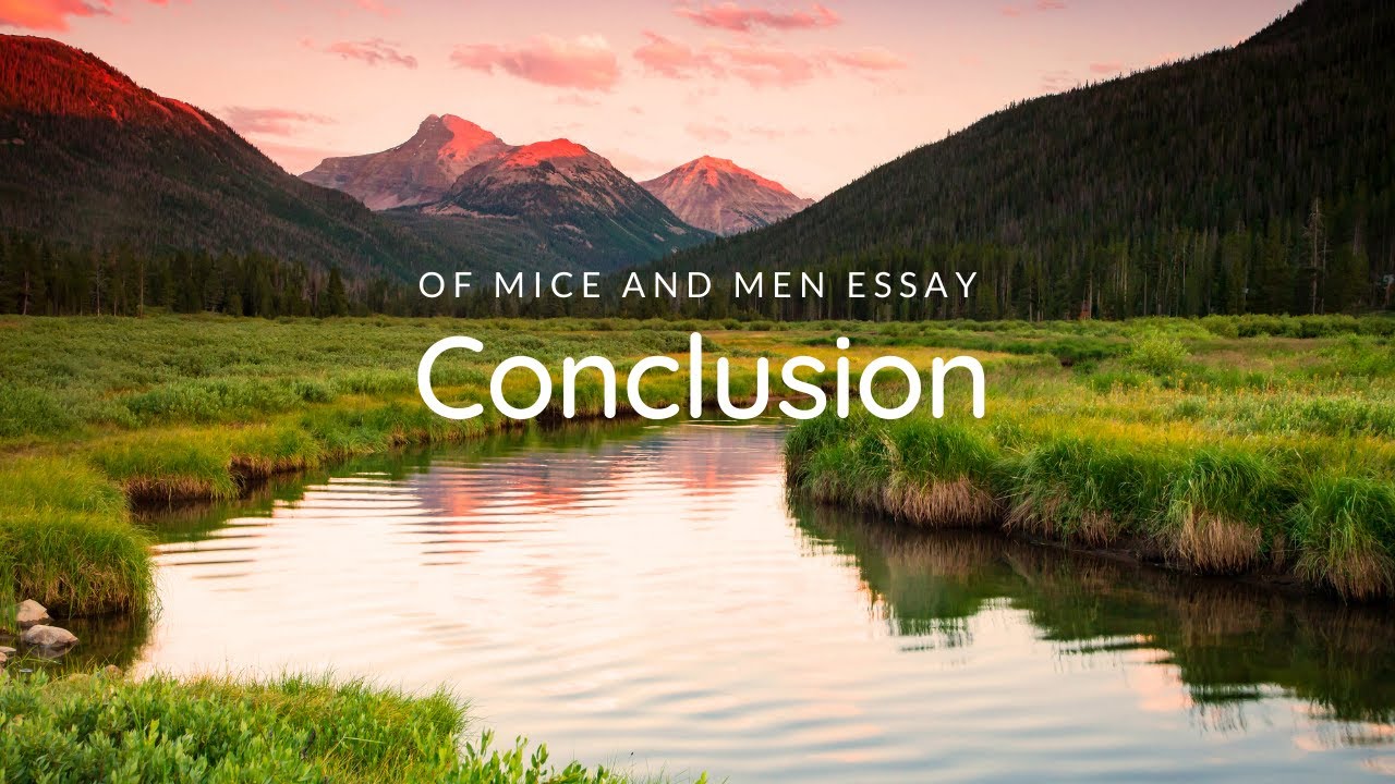 OMAM Essay - Conclusion - YouTube