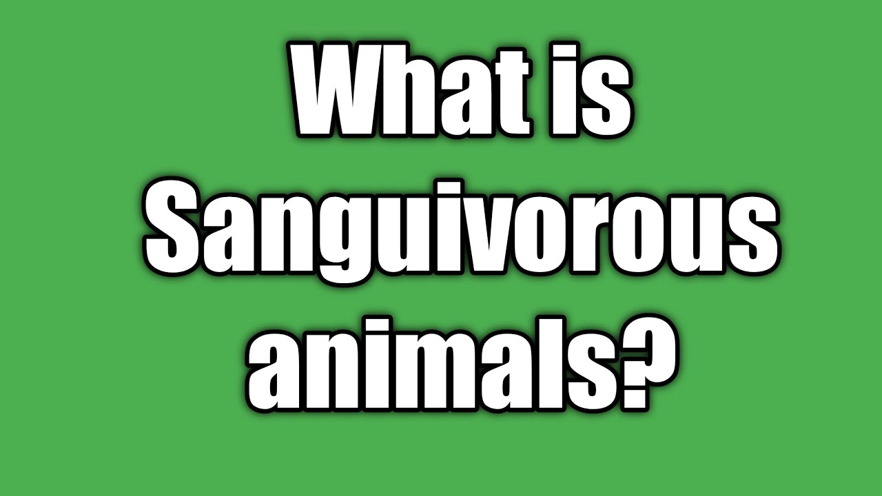 SANGUIVORES ANIMALS, SANGUIVOROUS ORGANISMS. - YouTube