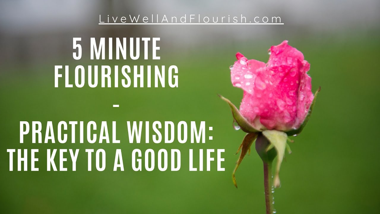 Practical Wisdom: The Key To A Good Life (5MF) - YouTube