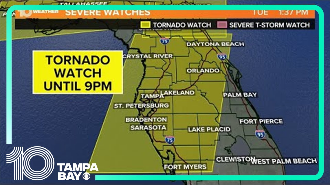 LIVE RADAR | Strong storms roll through Tampa Bay area - YouTube