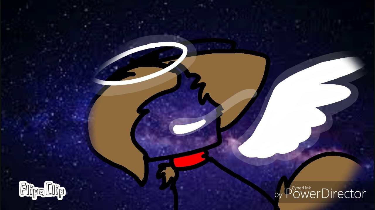 Angles meme (animtion X3) - YouTube