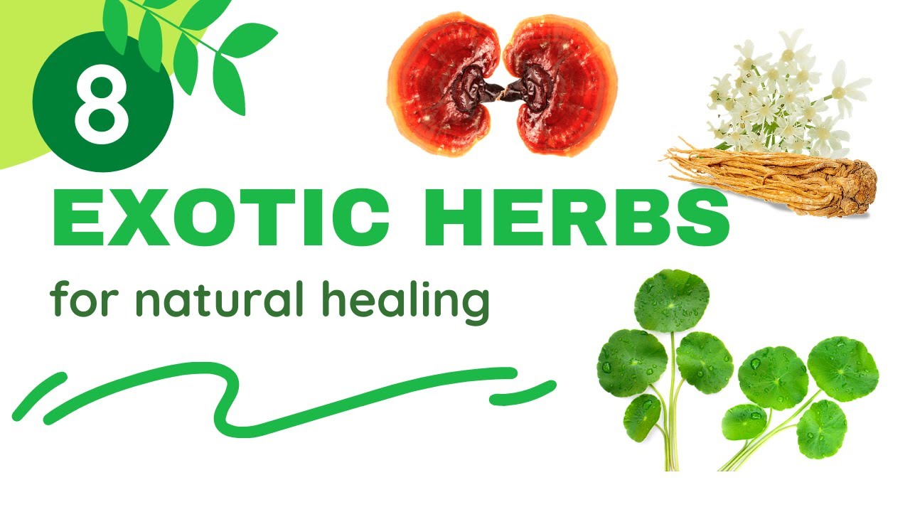 8 of the most exotic herbs for natural treatment - YouTube