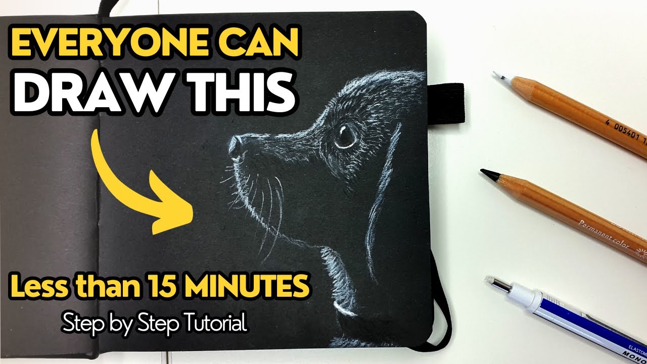 How to draw a REALISTIC DOG in less than 15 minutes | BEGINNER TUTORIAL ...