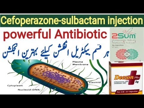 Deezon injection uses in urdu / cefoperazone sulbactam injection uses ...