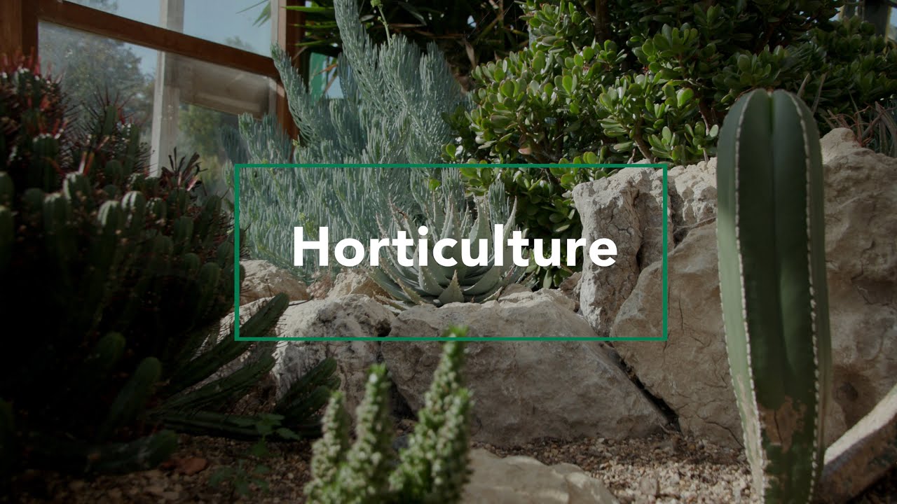 Horticulture - YouTube