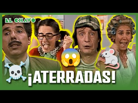 El Chavo del 8: Un ratón en la cocina