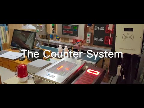 Intelligent Birds Counter System Testing Before Shipment for Chicken Slaughter Processing Line