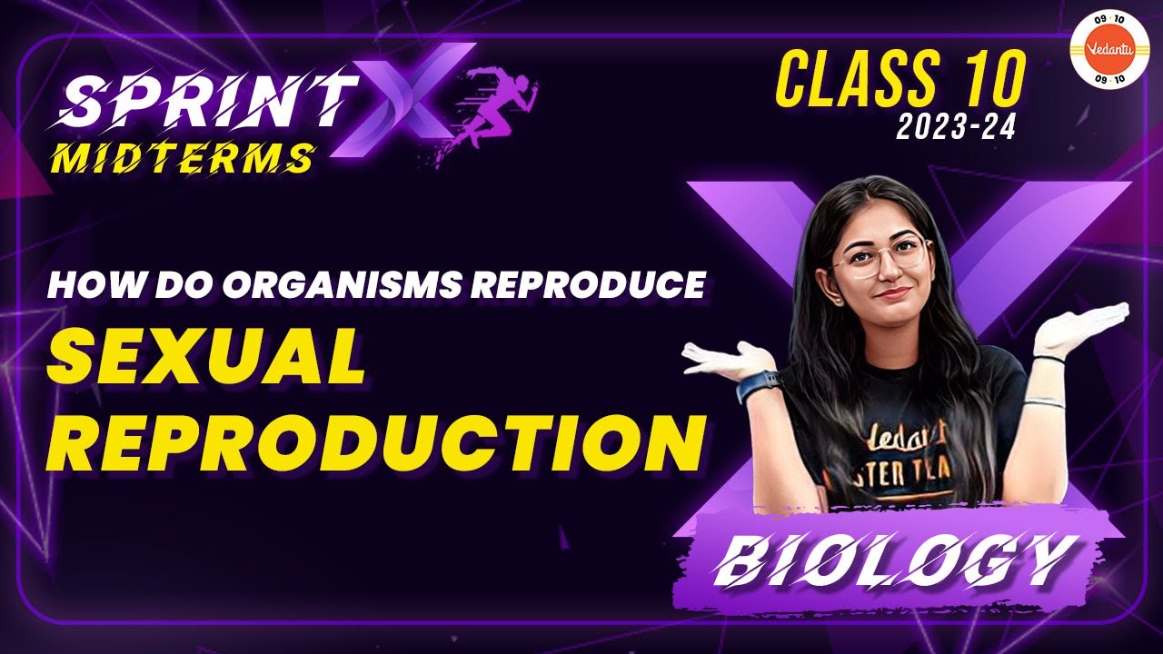 Sexual Reproduction Question Answers | How do Organisms Reproduce ...