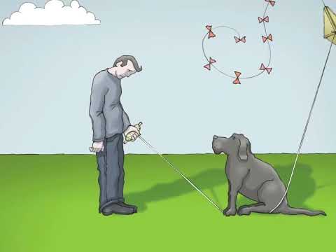 Depresyon, Üzerindeki Siyah Köpekten Kurtul