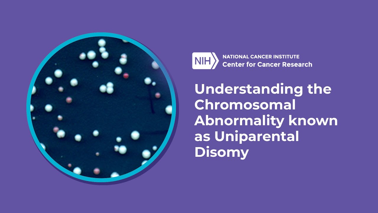 Understanding the Chromosomal Abnormality known as Uniparental Disomy ...