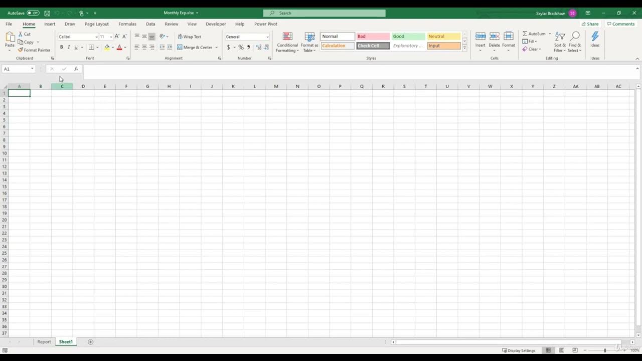 Renaming Moving & Deleting Excel Worksheets - Adjusting Excel Worksheets - YouTube
