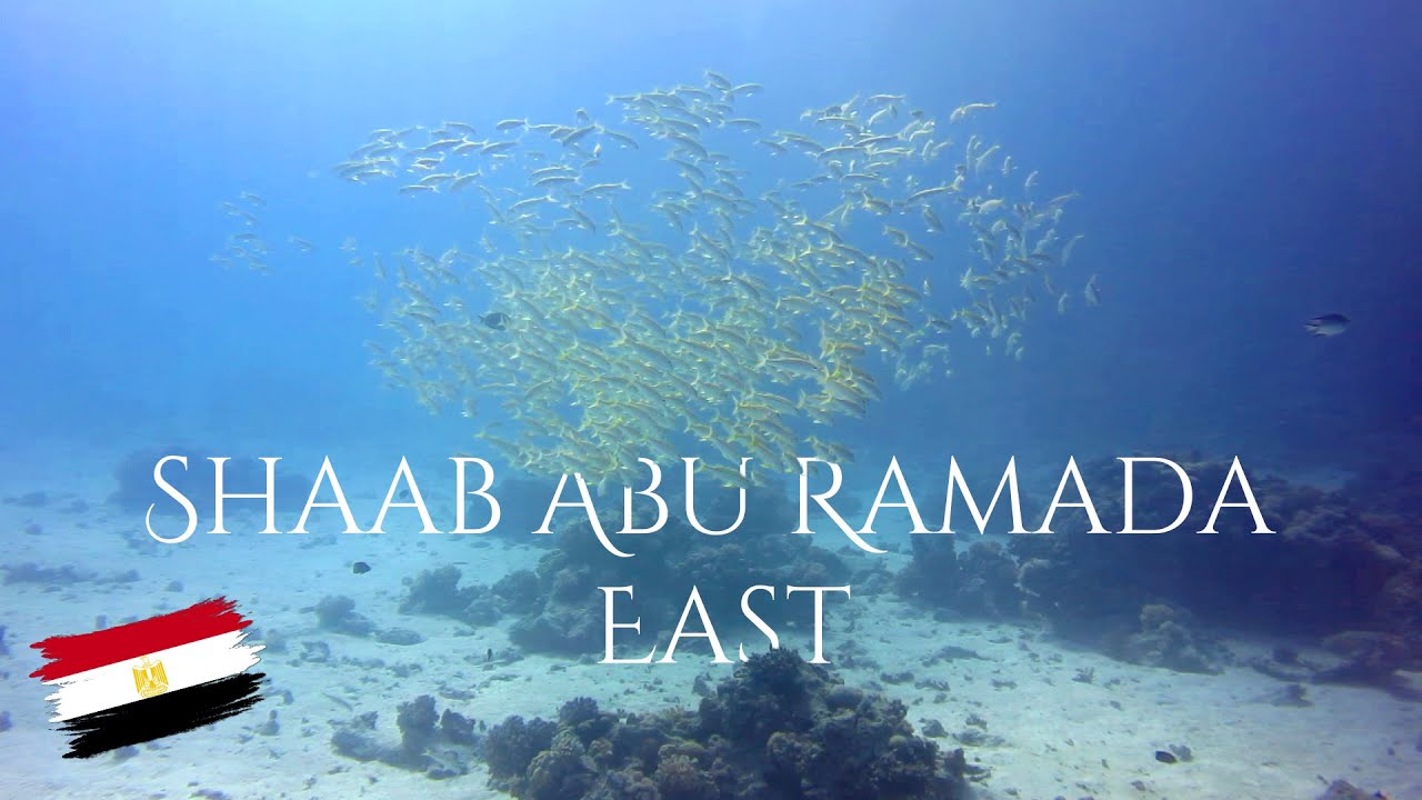 Diving Famous Shaab Abu Ramada East Reef - Hurghada - Egypt - YouTube