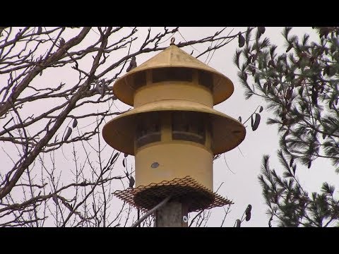 FS Model 7T Siren Test, Loudonville, OH (Attack Signal) - YouTube