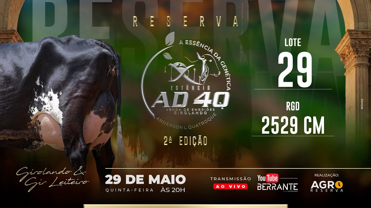 LOTE 29 - LUNA 226 ESTÂNCIA AD 4Q - YouTube