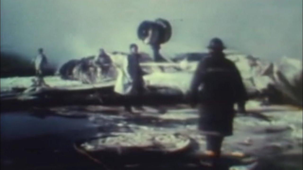 Delta Air Lines Flight 9570 Aftermath Footage - YouTube