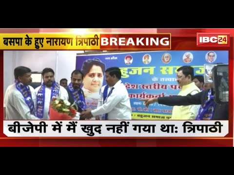 Narayan Tripathi Join BSP: पूर्व MLA Narayan Tripathi बसपा में शामिल ...