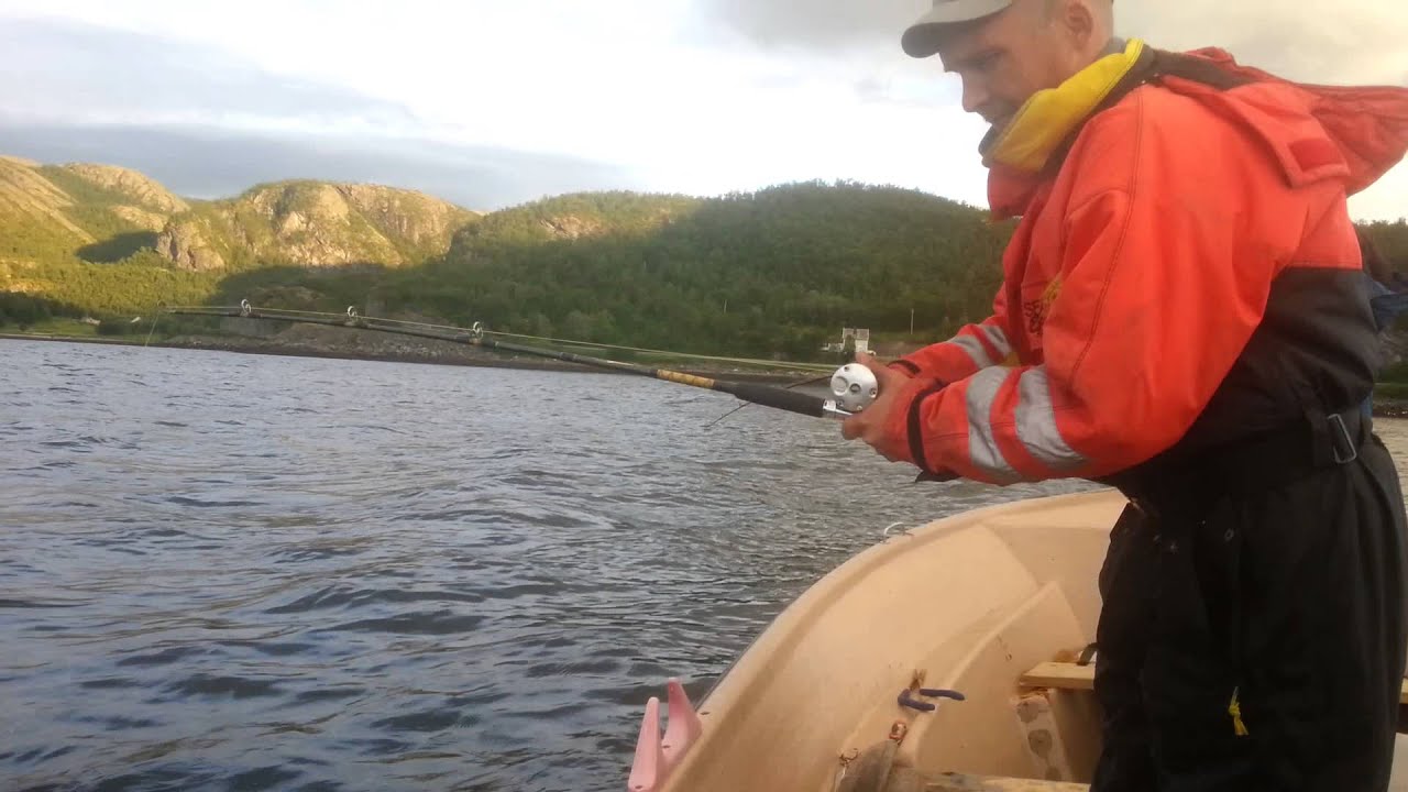 Talvik Halibut Fishing in Norway - YouTube