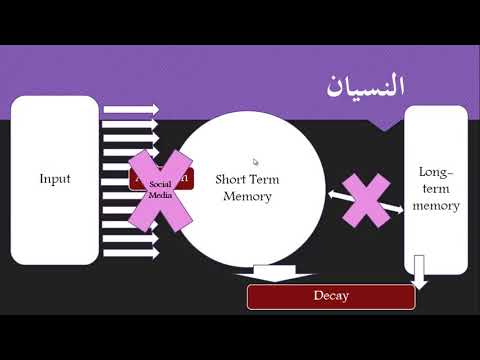 Study Capsule - YouTube