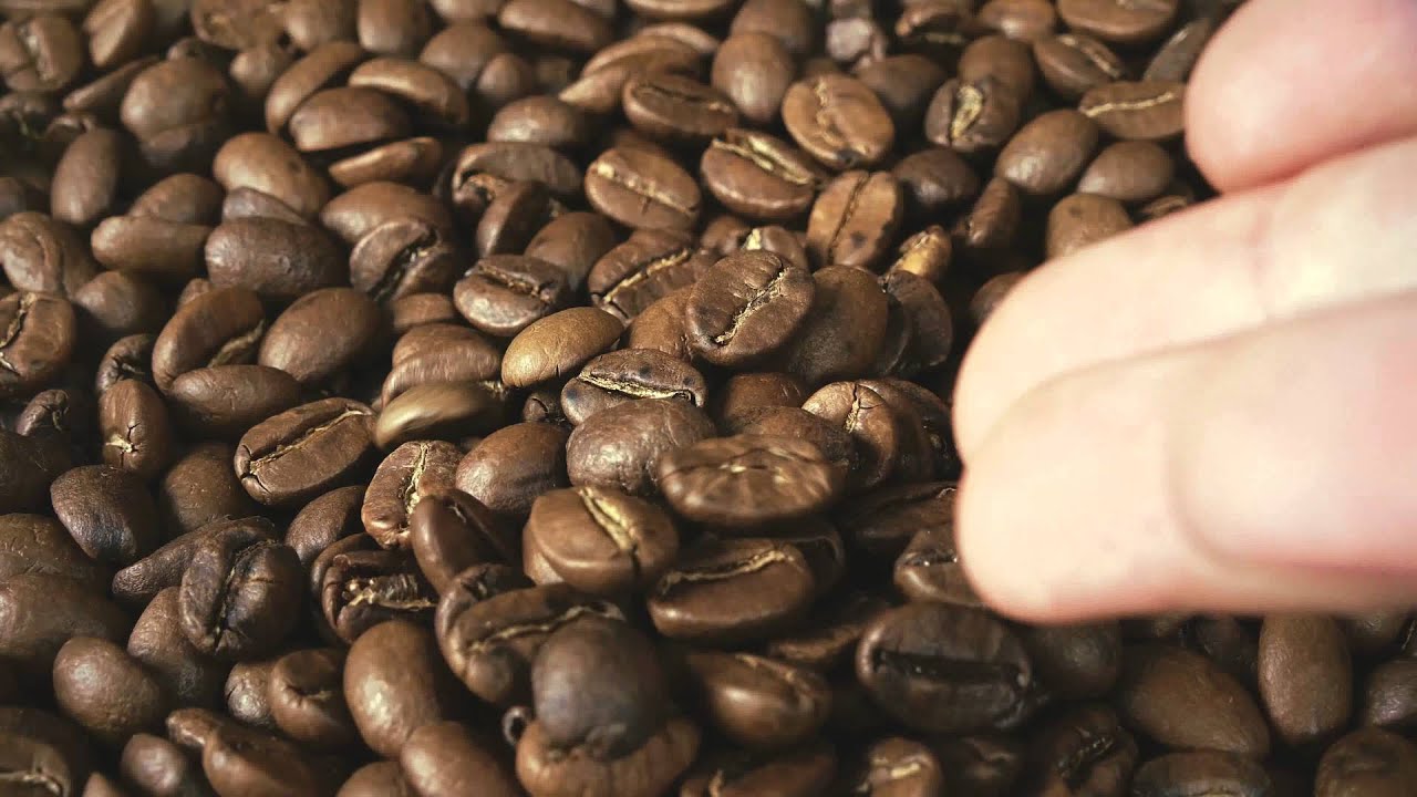VEVE STUDIO - COFFEE INTRO #2 (4k) - YouTube