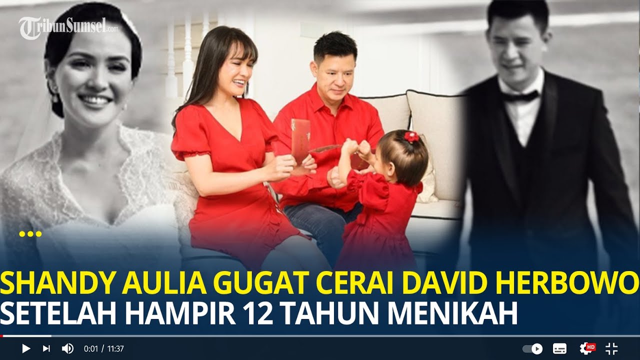 Shandy Aulia Gugat Cerai David Herbowo Setelah Hampir 12 Tahun Menikah ...
